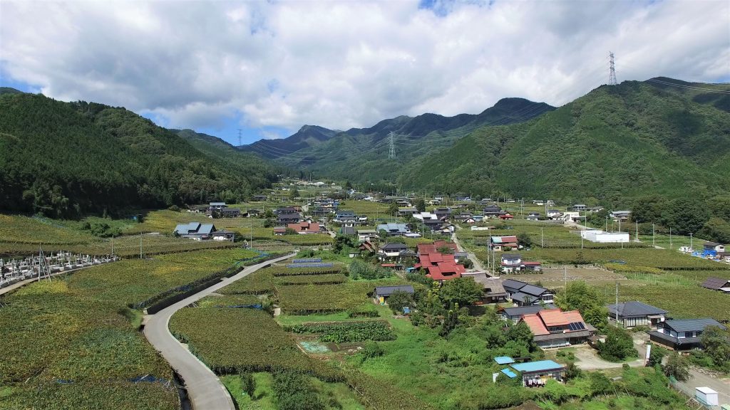 Landscape Interwoven with Vineyards